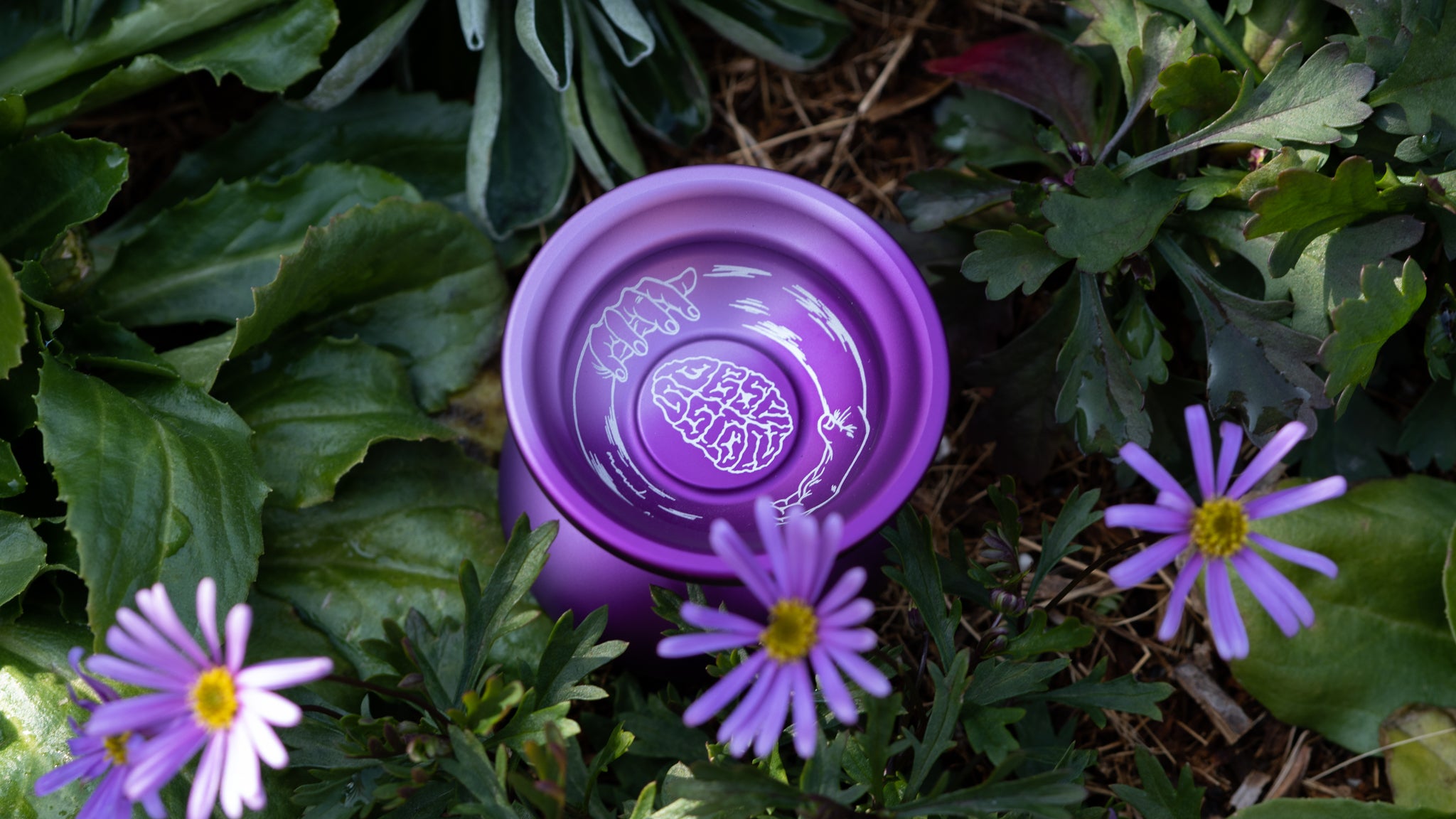 【New Color】Obsession Release Information – mowl